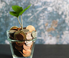 TOTAL NETWORK SOLUTIONS