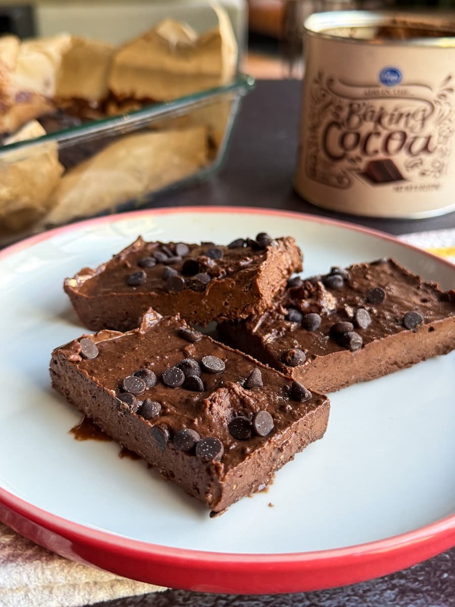 Healthy Protein Fudge Recipe (With Cottage Cheese) — Protein Snack Queen