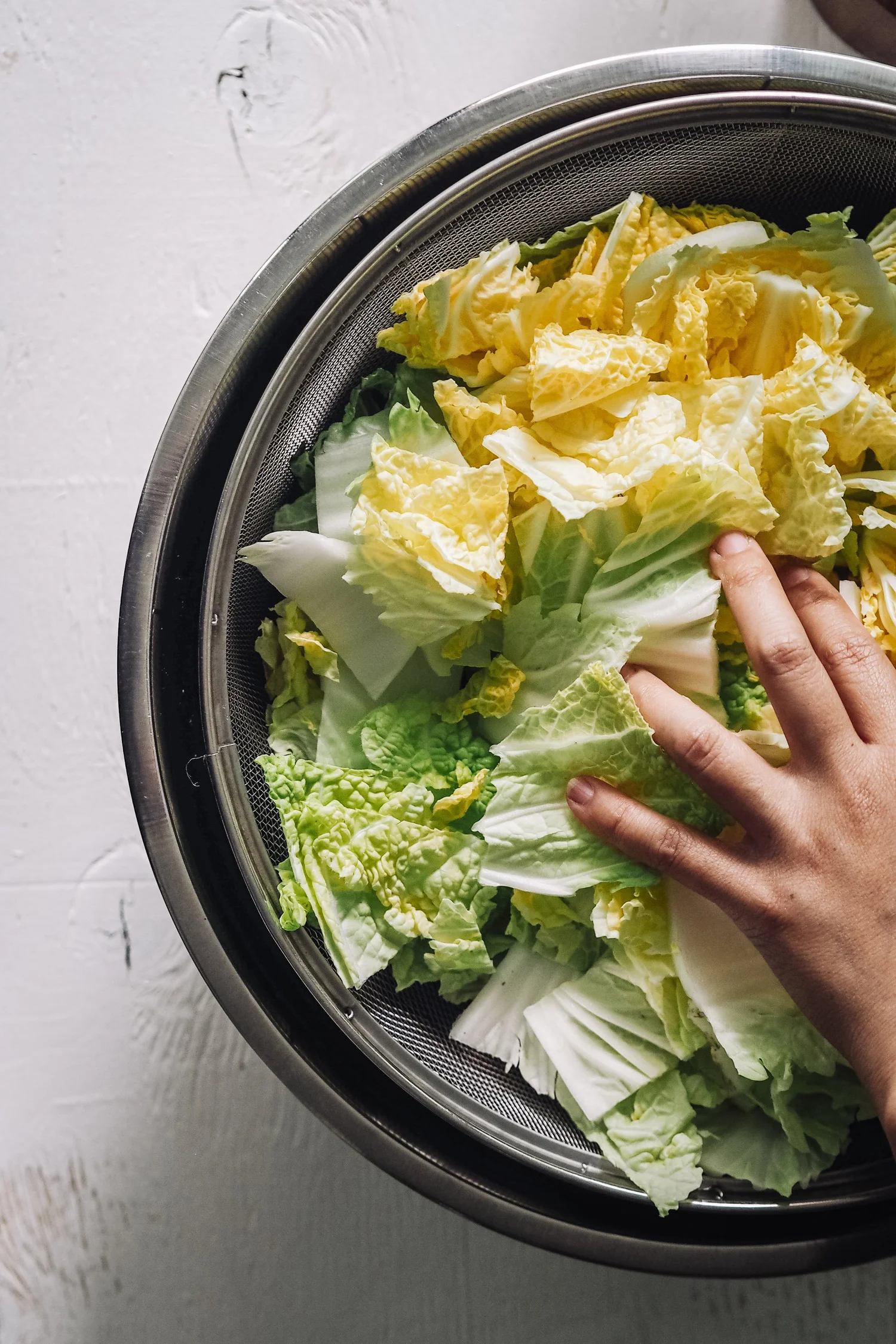 Kimchi: The Beginner’s Guide to Fermenting — ONE OF EVERYTHING