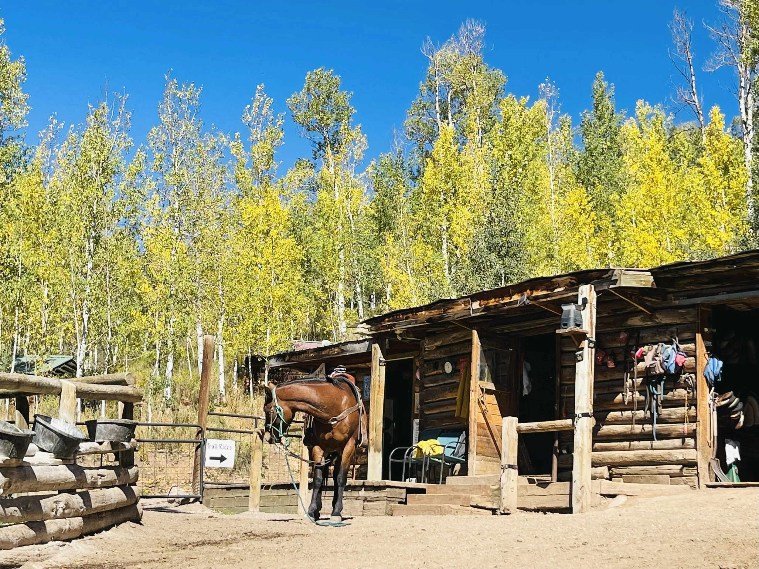 Vail Stables — Outfitter Marketplace