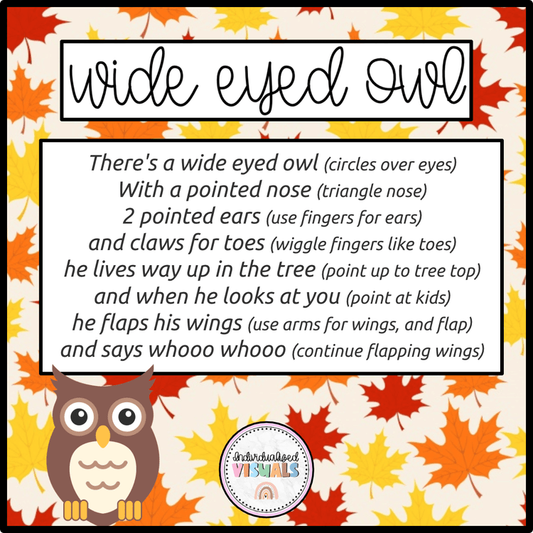 Owl Craft for Kids and Adapted Book — Individualized Visuals