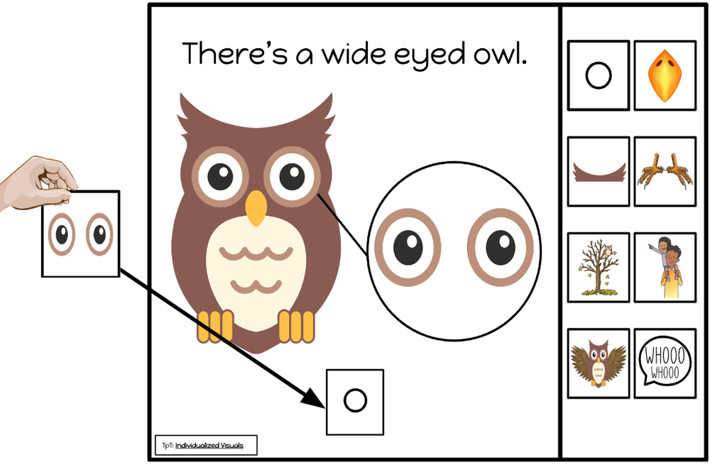 Owl Craft for Kids and Adapted Book — Individualized Visuals