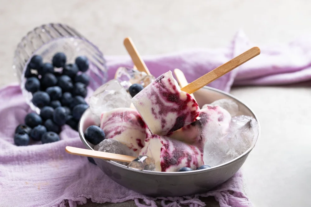 Frozen Blueberry Yoghurt Pops | Summer Treat with Bekaa Natural Pot Set ...