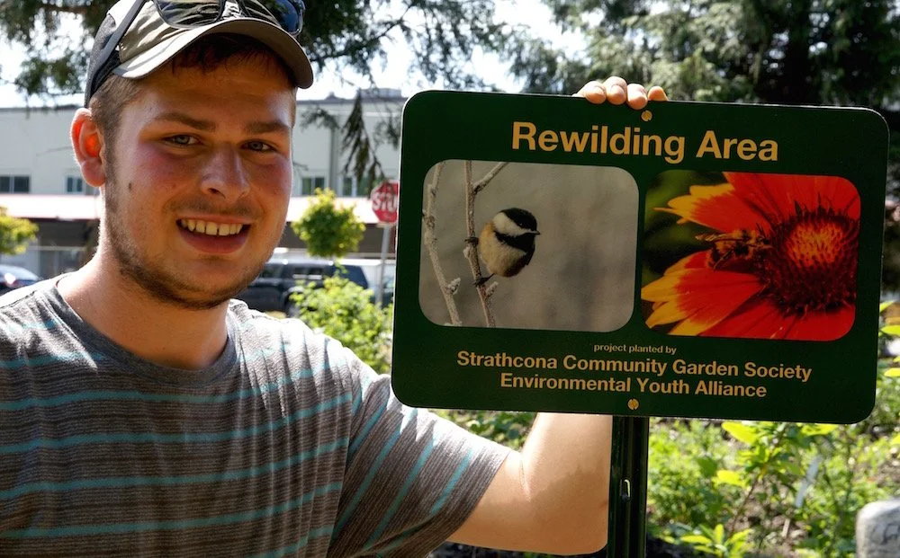 Wild Area — Strathcona Community Gardens