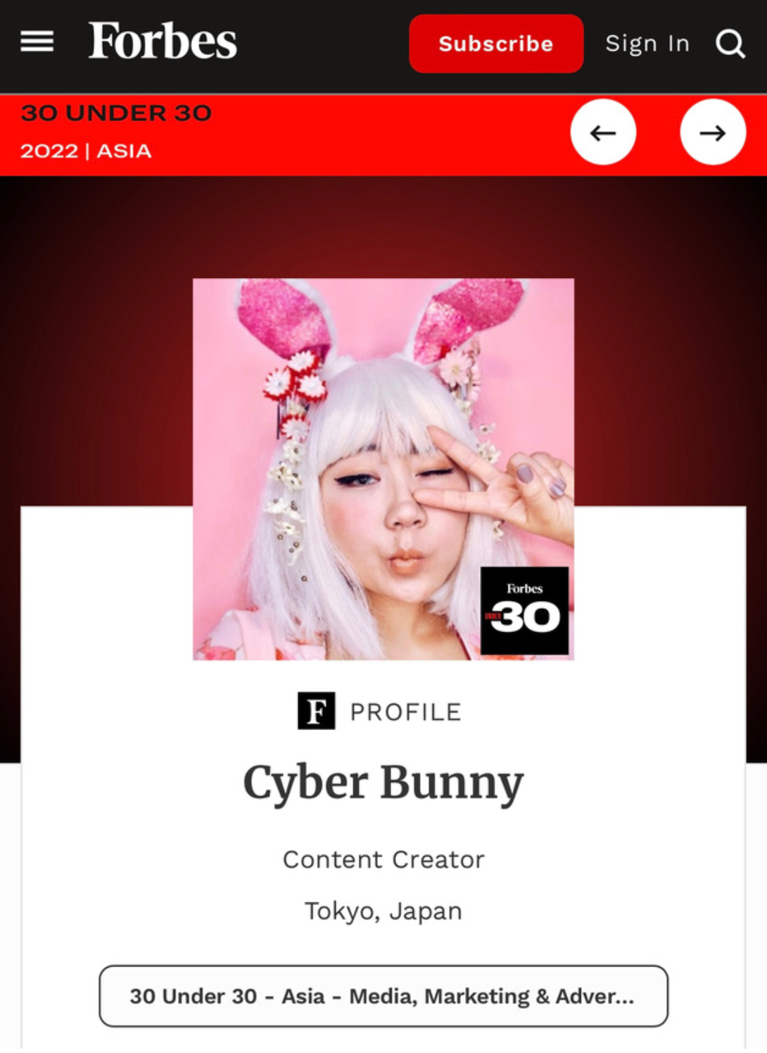 About — Cyber Bunny | Explore Japan