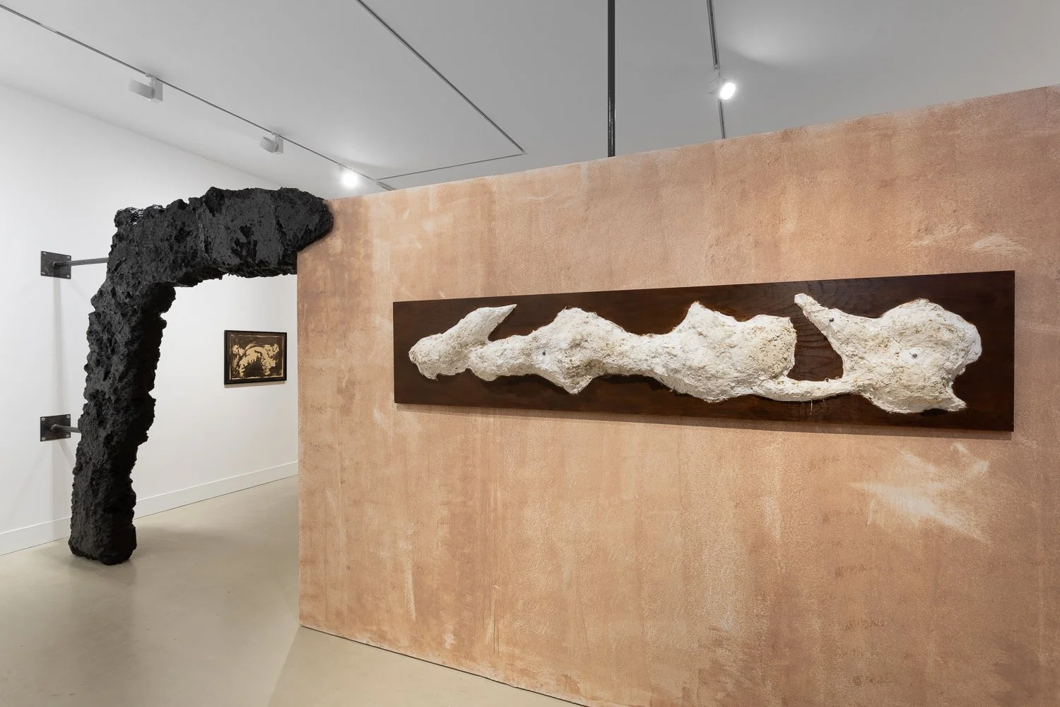 News Home — MAXIMILLIAN WILLIAM