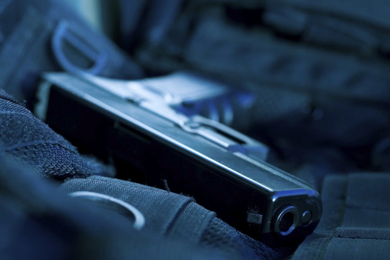 Gun Crimes & Firearm Violations — Bishop Law LLC