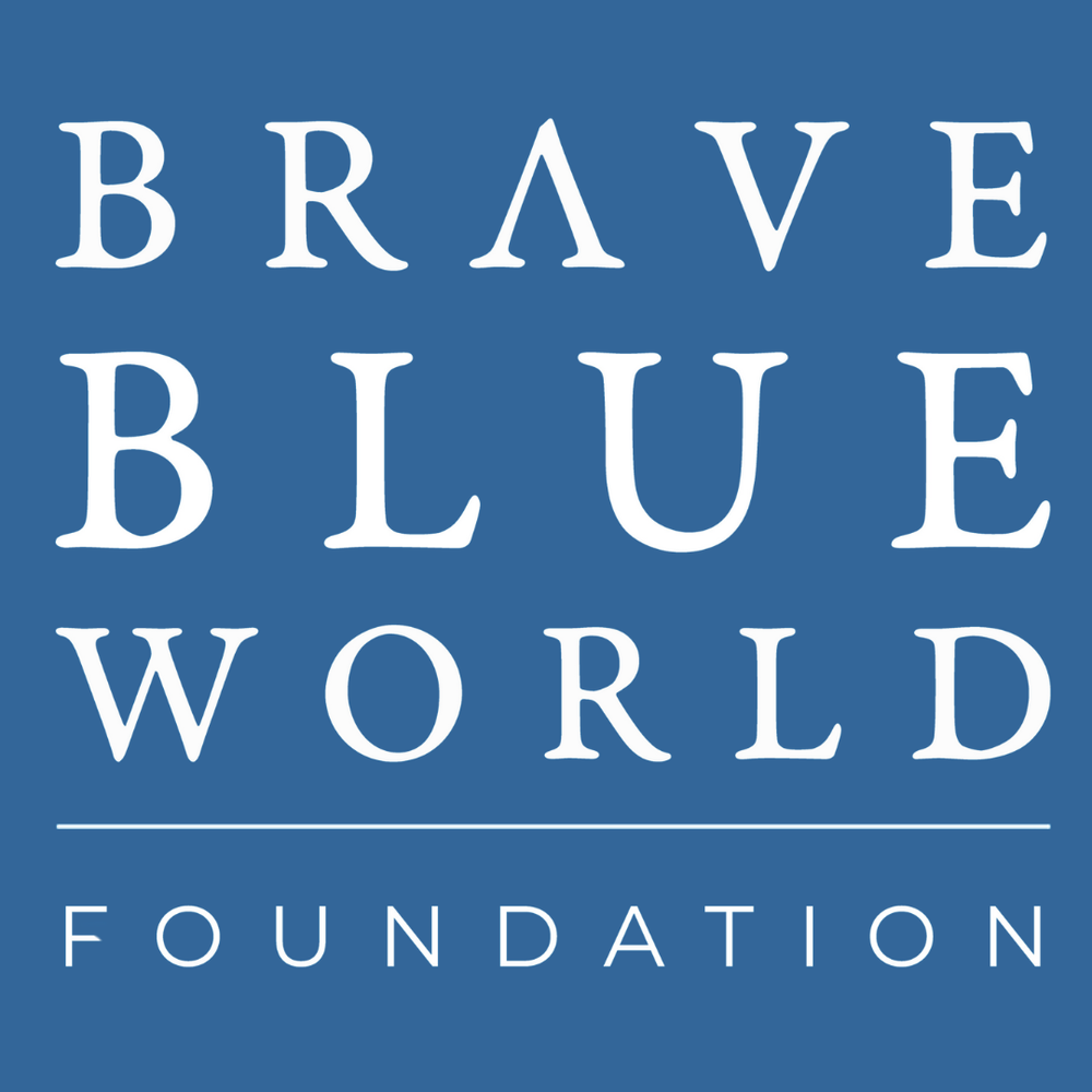 Brave Blue World