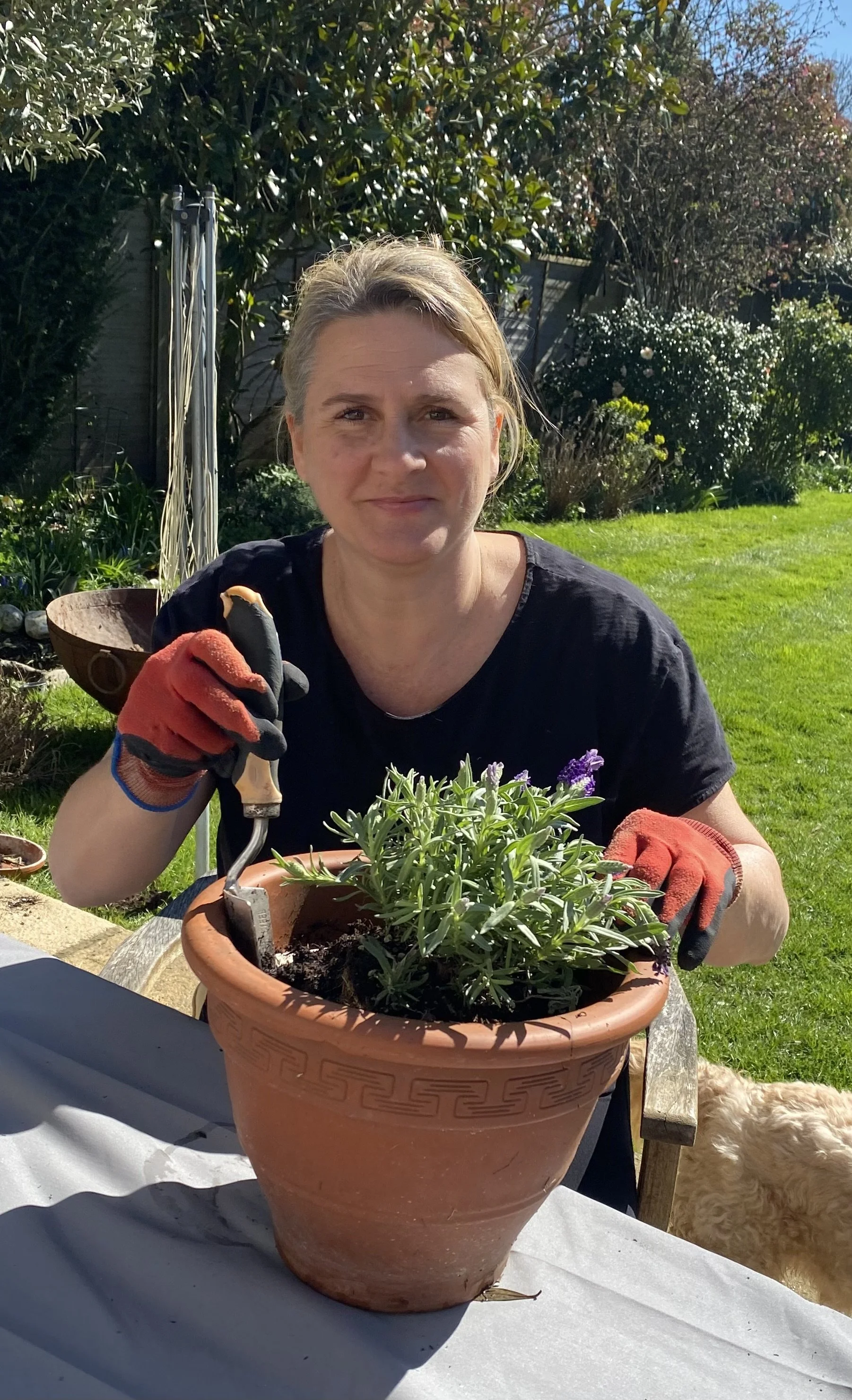 About — Zellar - SMART SUSTAINABILITY