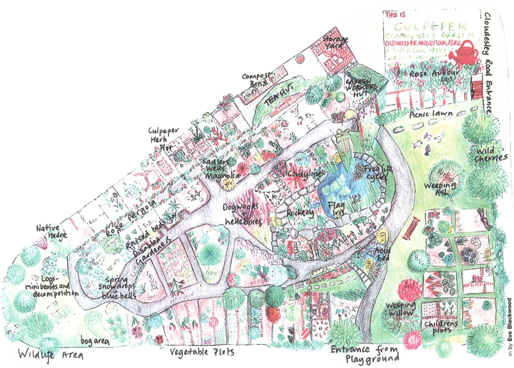 The Garden — Culpeper Community Garden