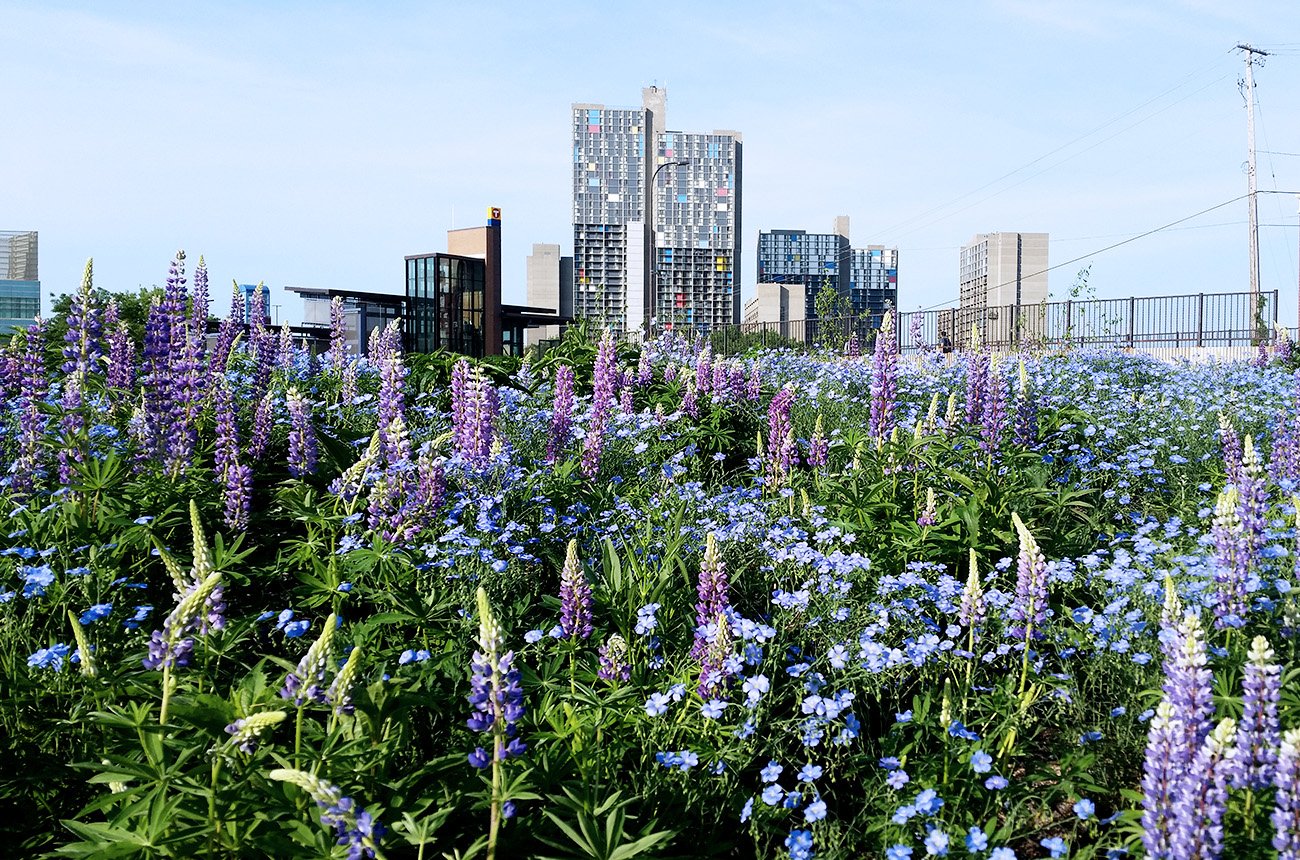 Urban Ecosystems Landscape Architects
