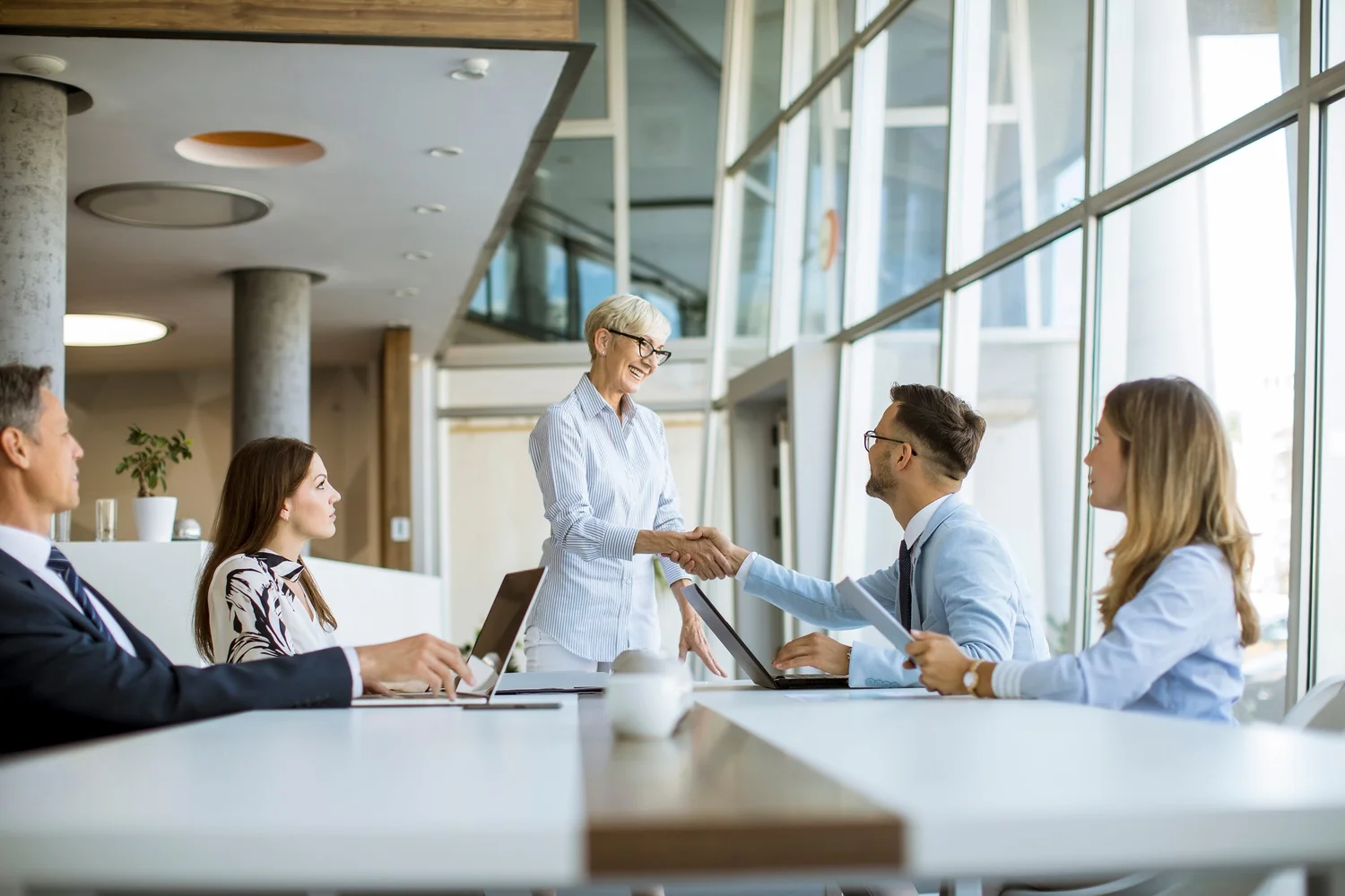 The Role of the Integrator in EOS® | GCE Strategic Consulting