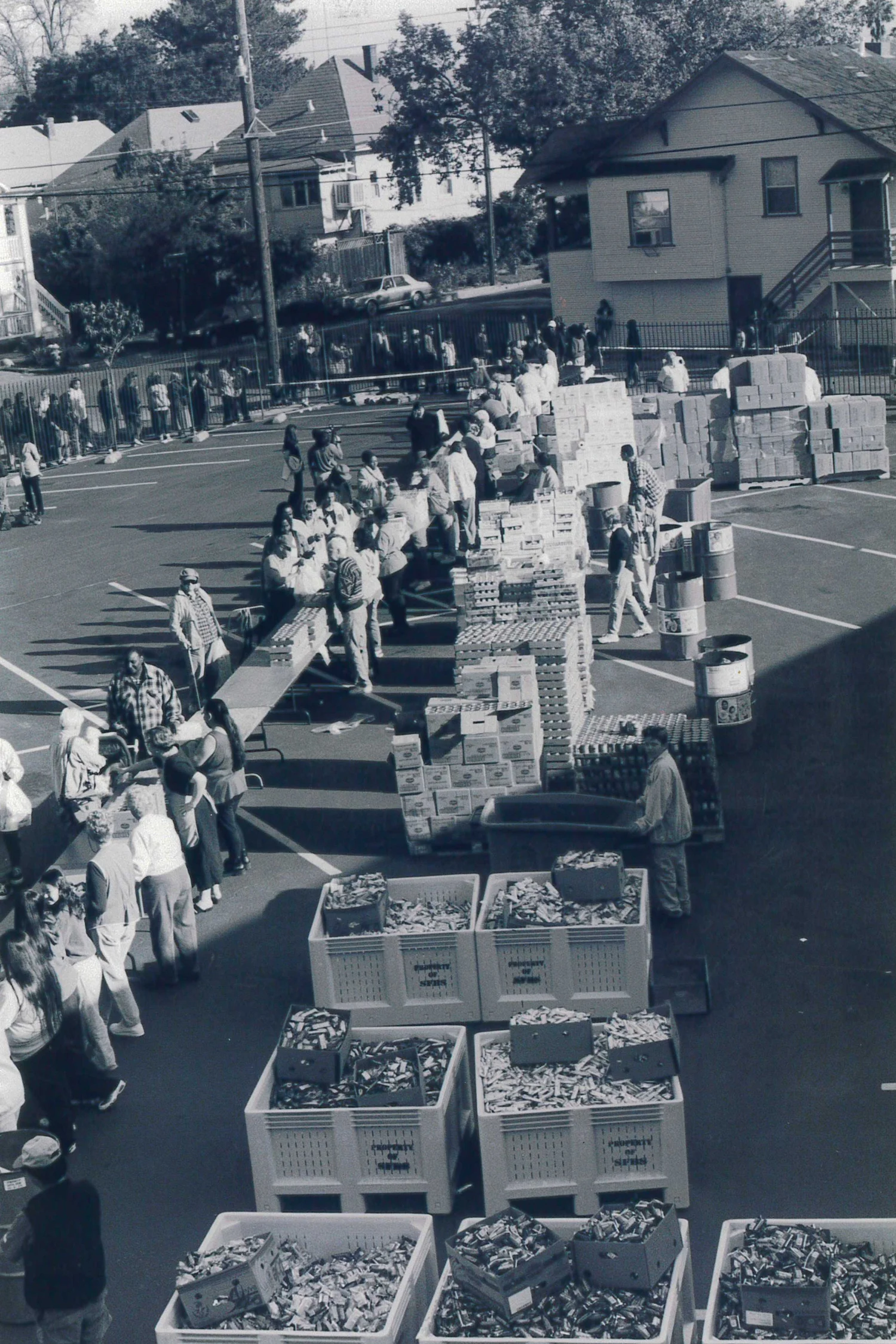 50th Anniversary — Sacramento Food Bank & Family Services