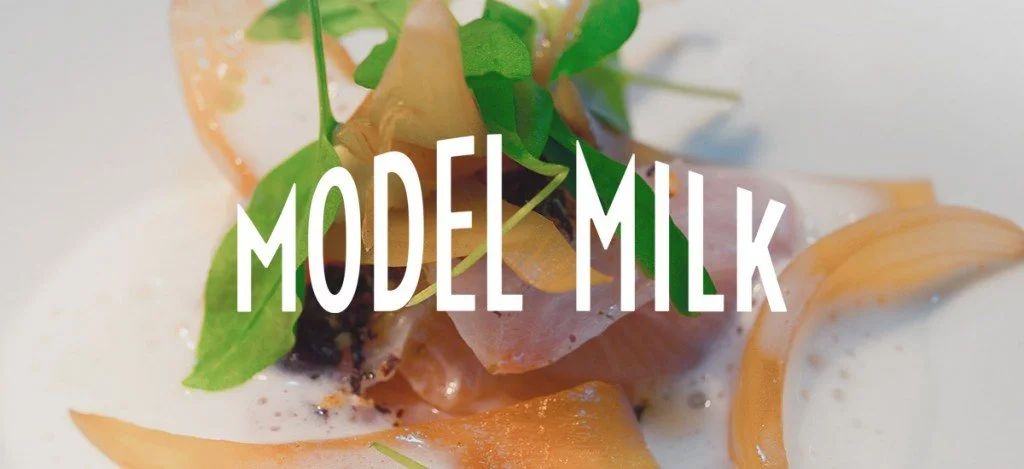 Model Milk — YYC EXP