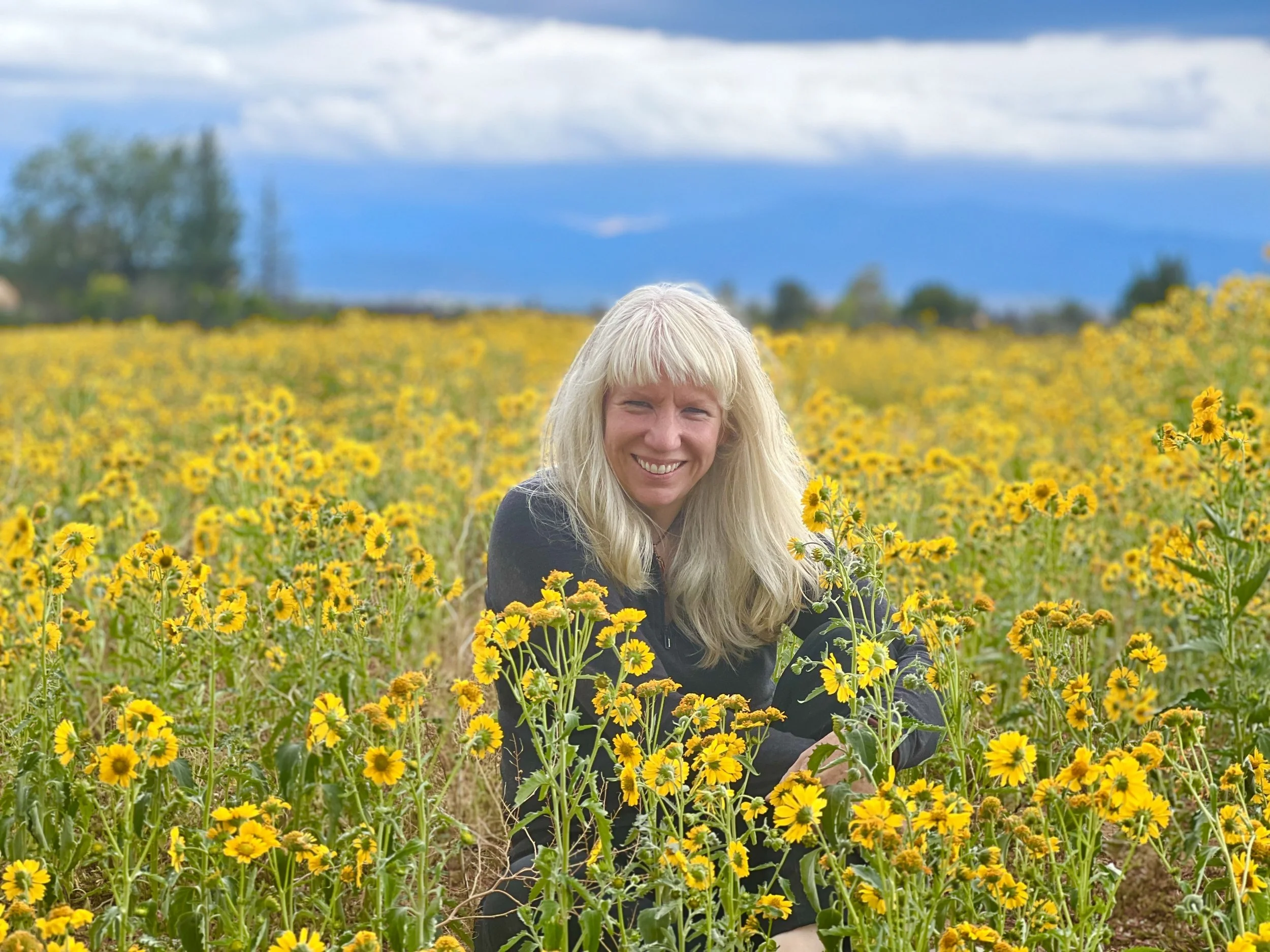 Wheel of Time Hypnosis