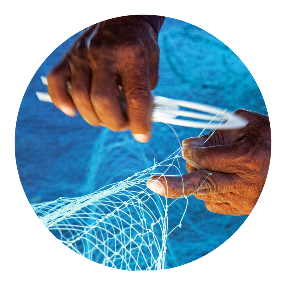 The Wild Lens Collective