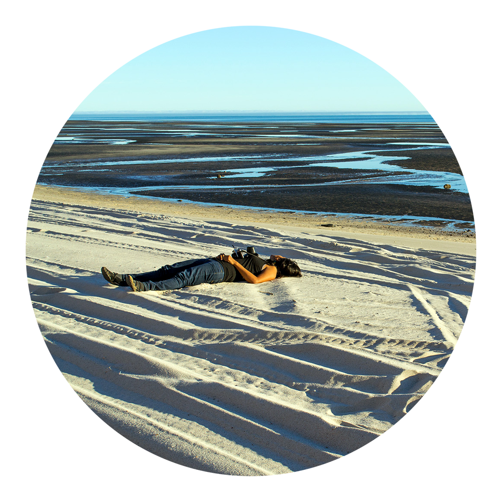 The Wild Lens Collective