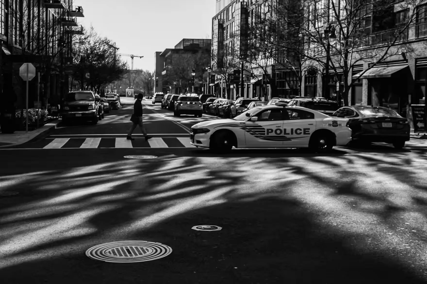 News — Patrice Sulton