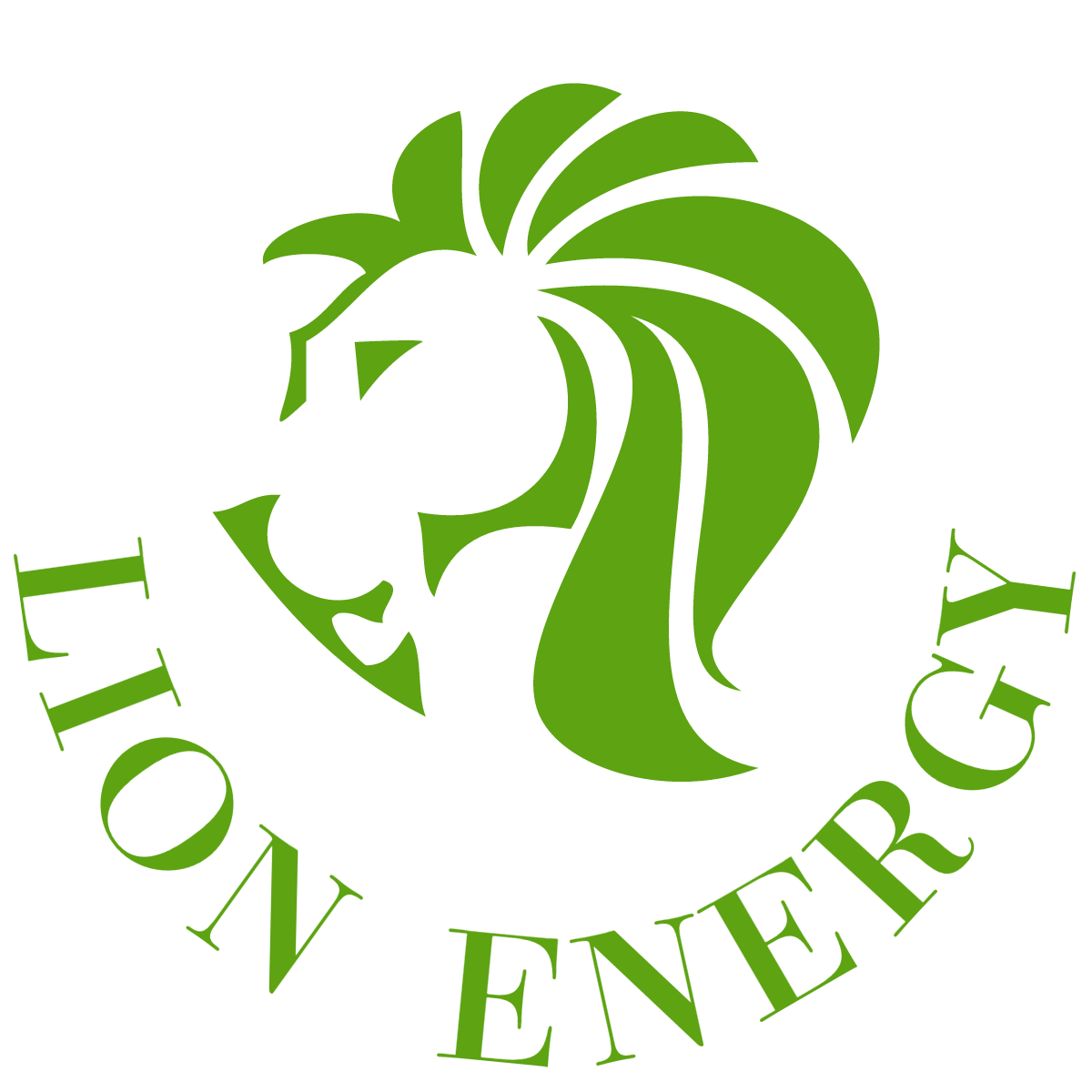 About | Join the EV Revolution — B-EV Co.