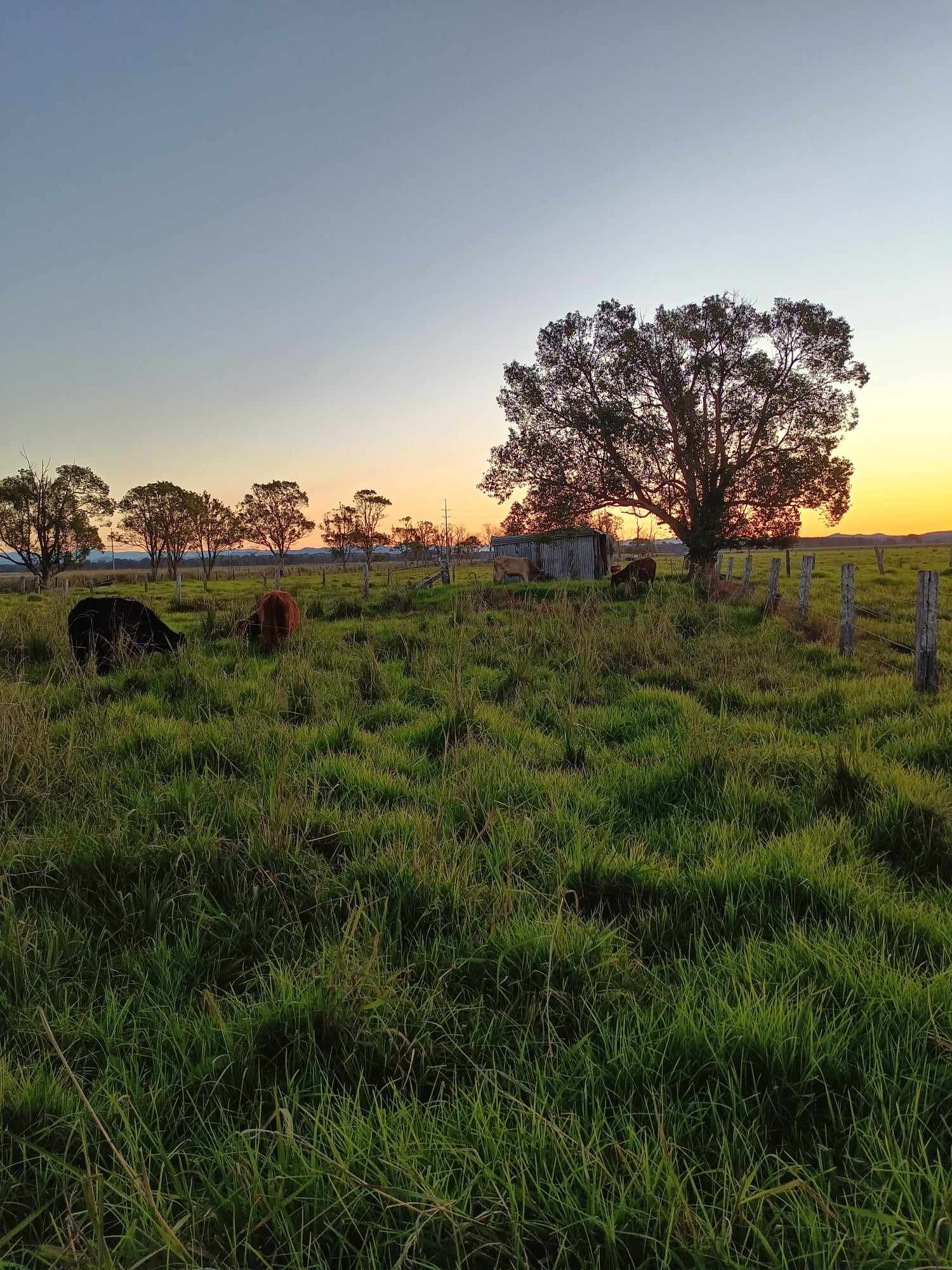Macleay Valley Farm