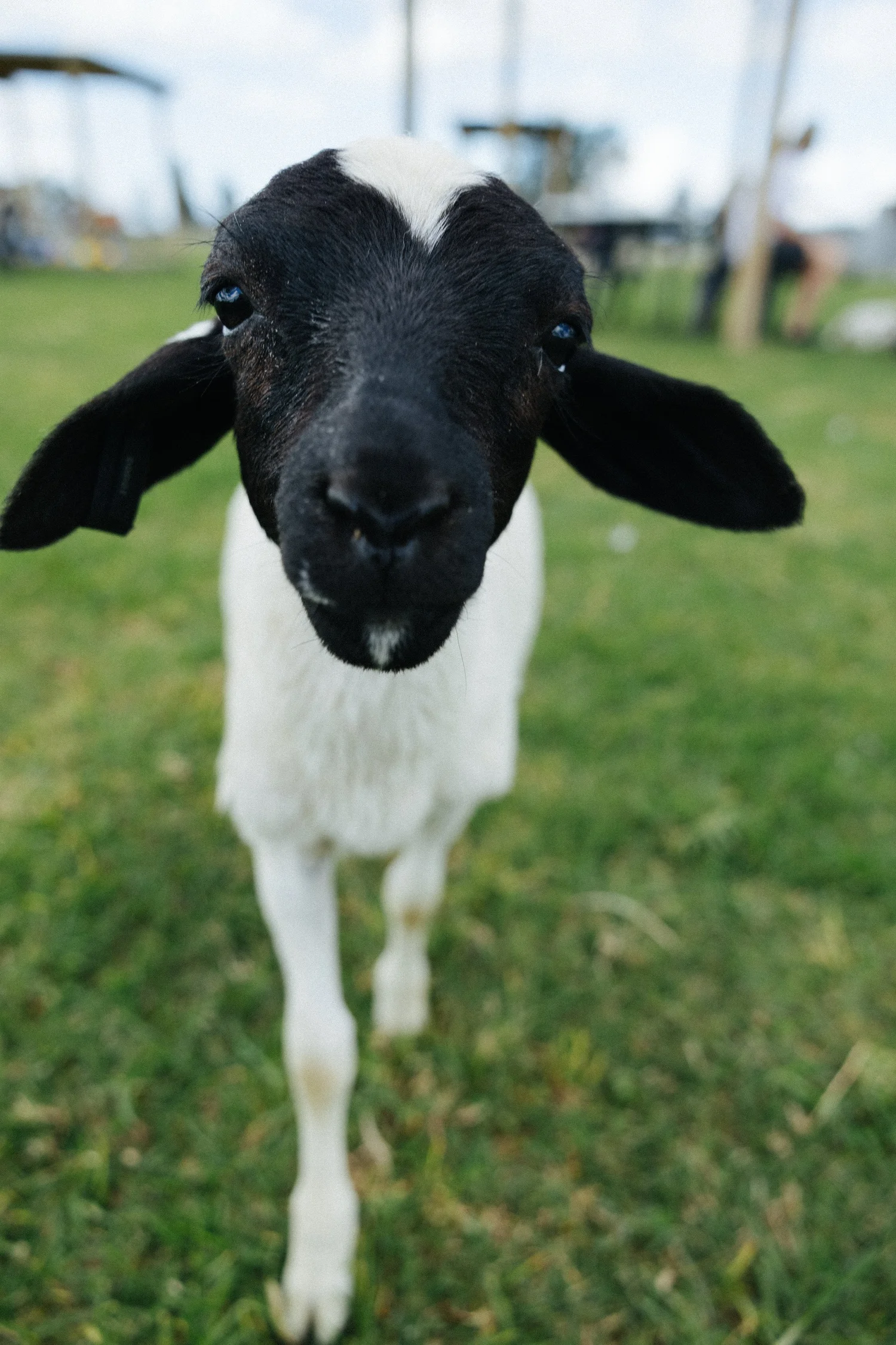 Macleay Valley Farm