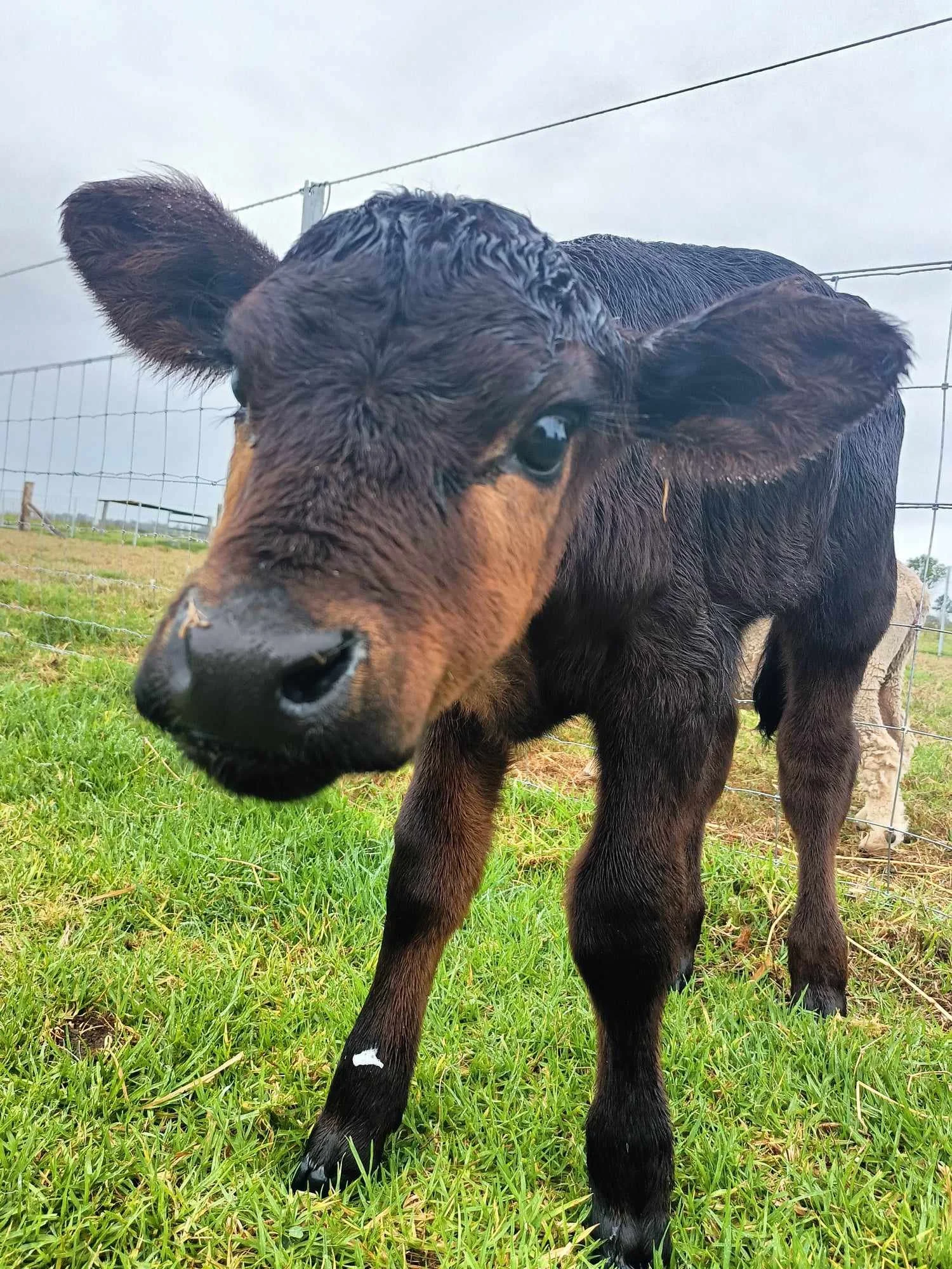 Macleay Valley Farm