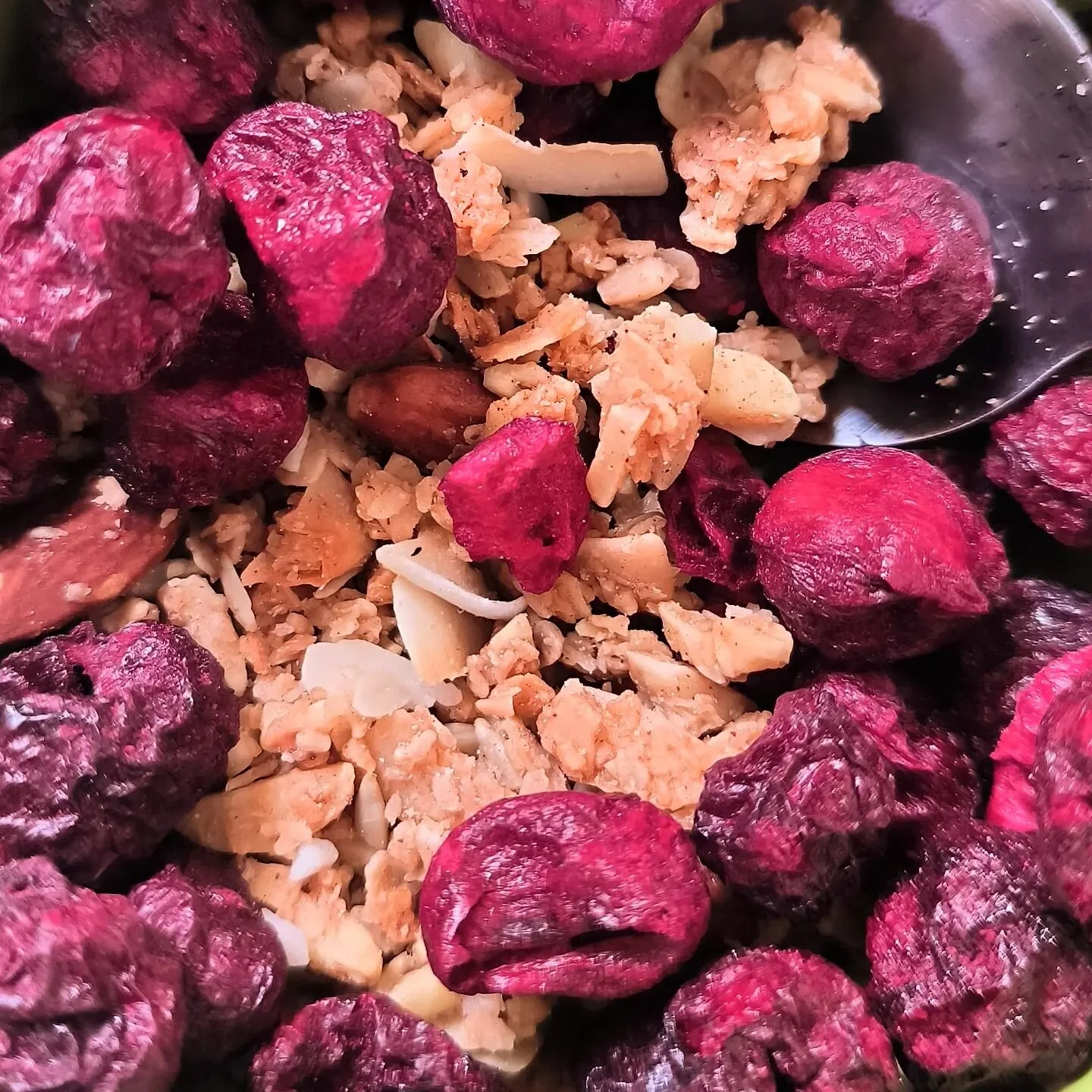 B2B Freeze Dried Fruit partner — ZingyZoo