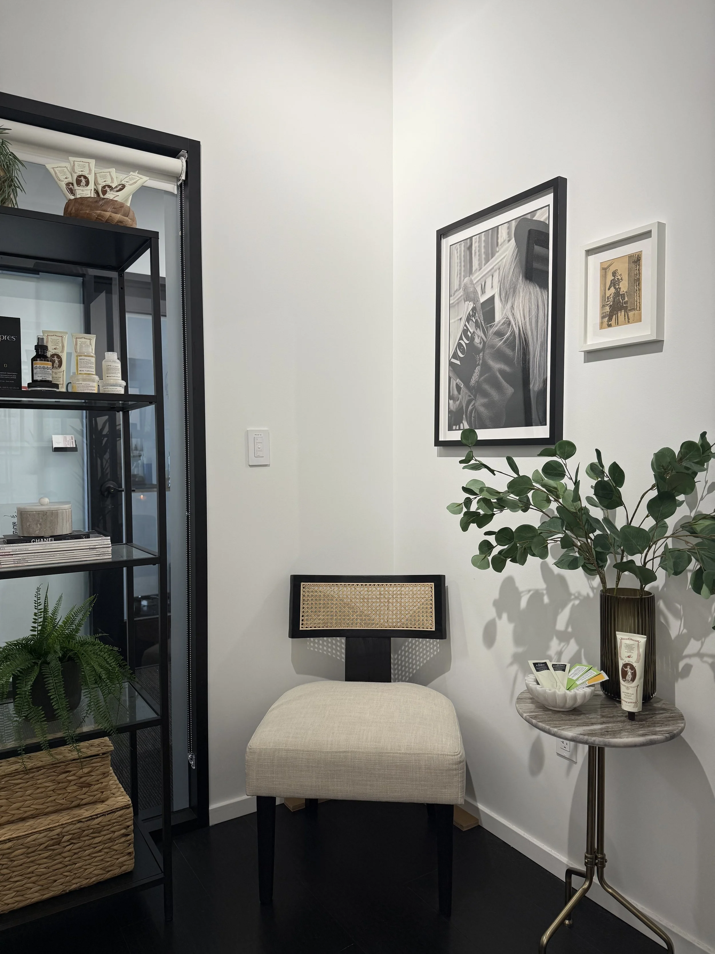 the mini salon