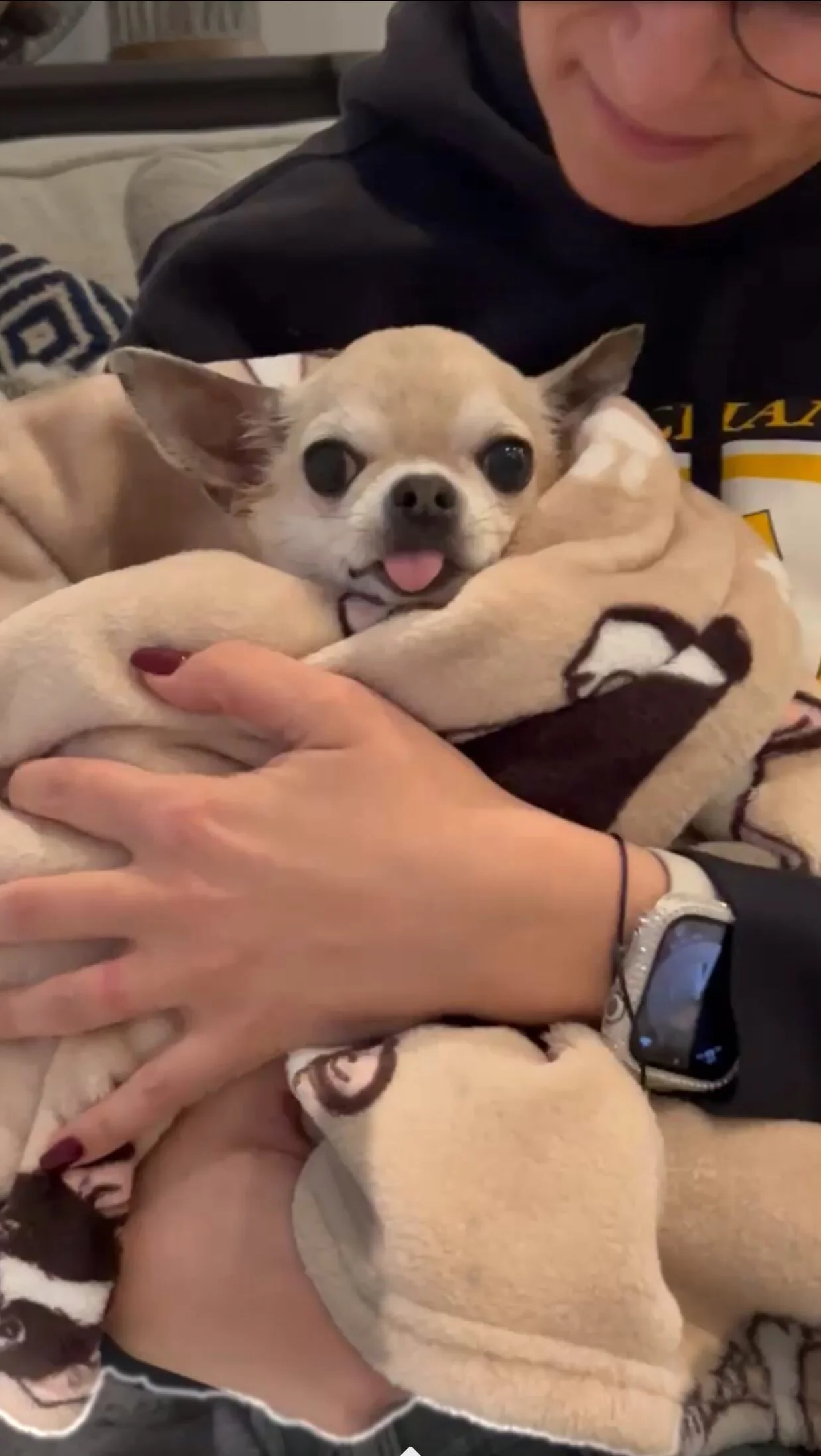 Wagging Tails Dog Rescue NY