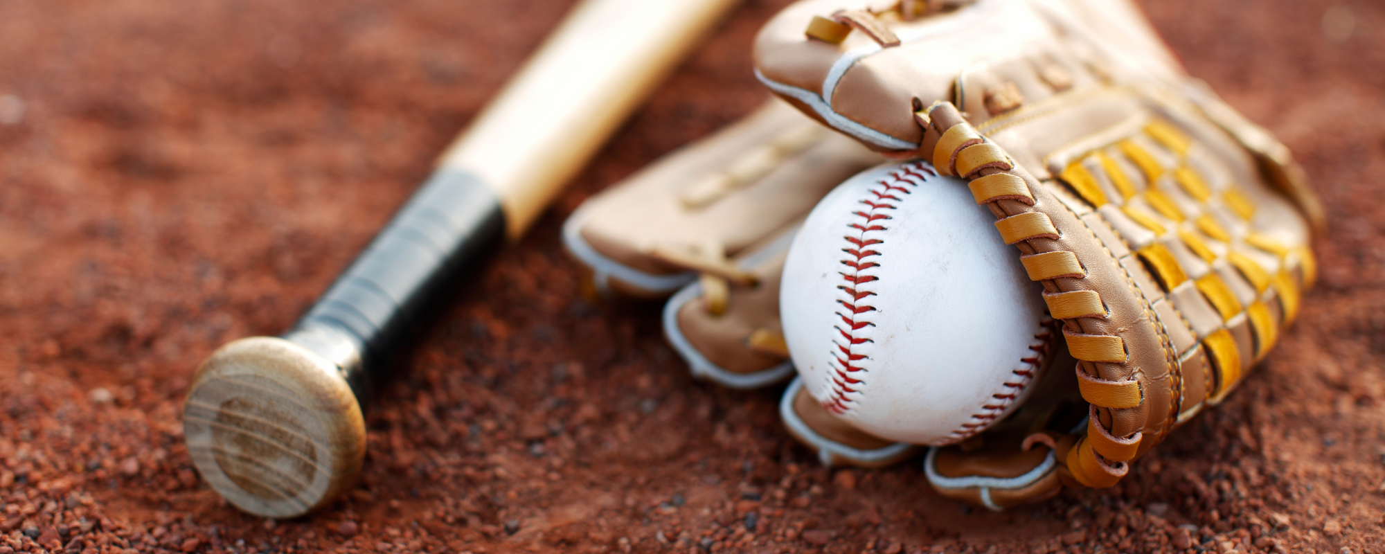 TL Store — TL Baseball Academy Santa Monica