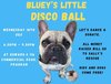 Bluey's Disco Ball - Fundraiser — edward.s