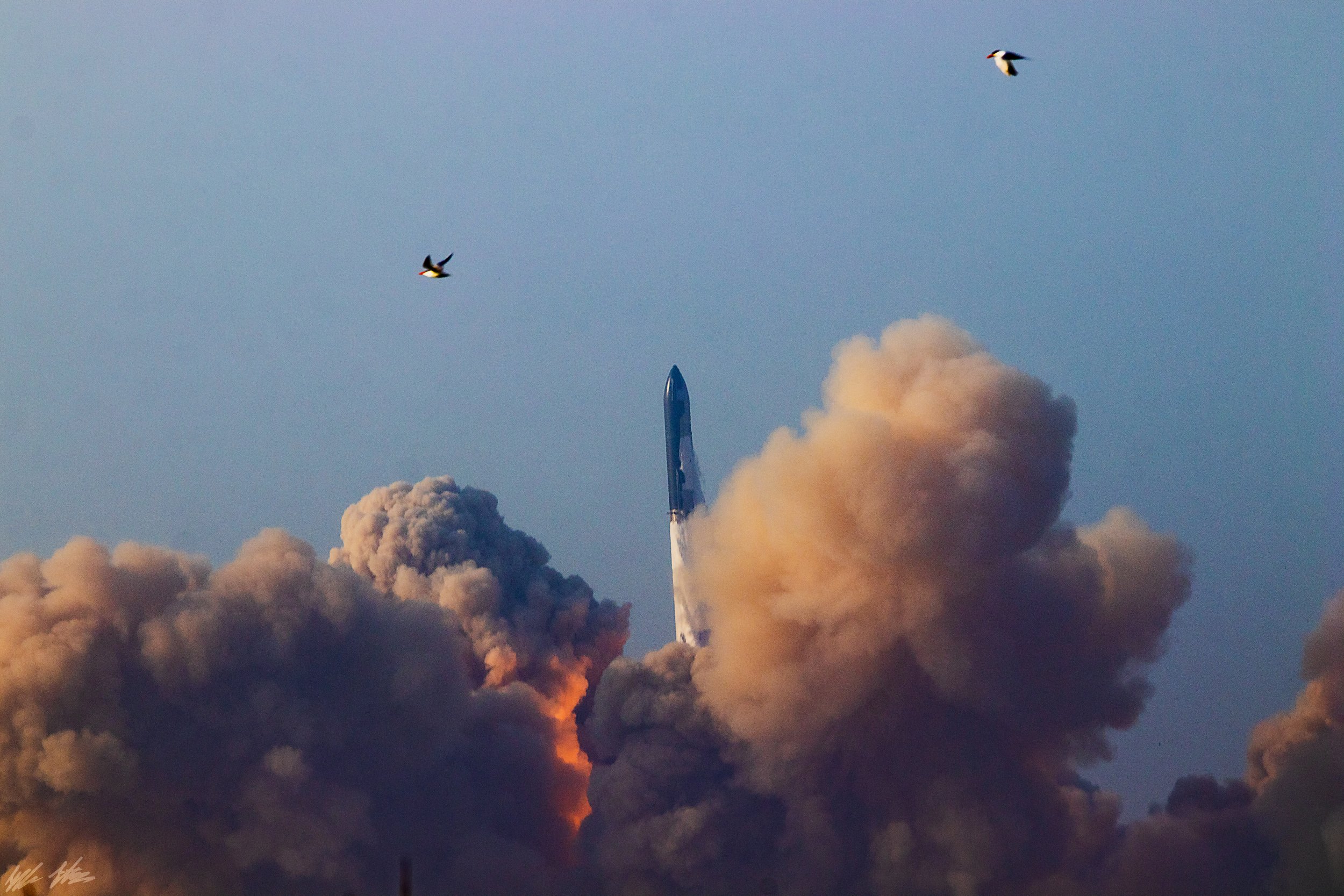 Starship — Kyle Foster Photography