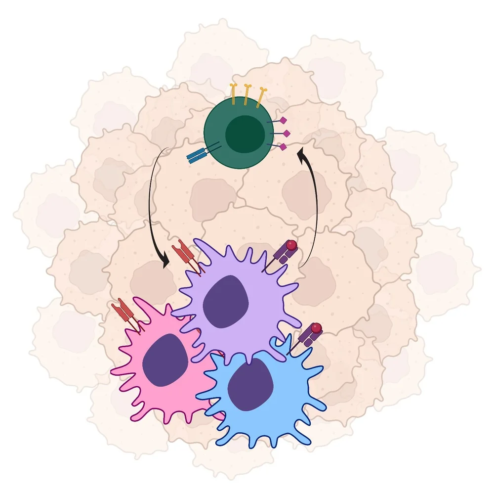 Kersten Lab