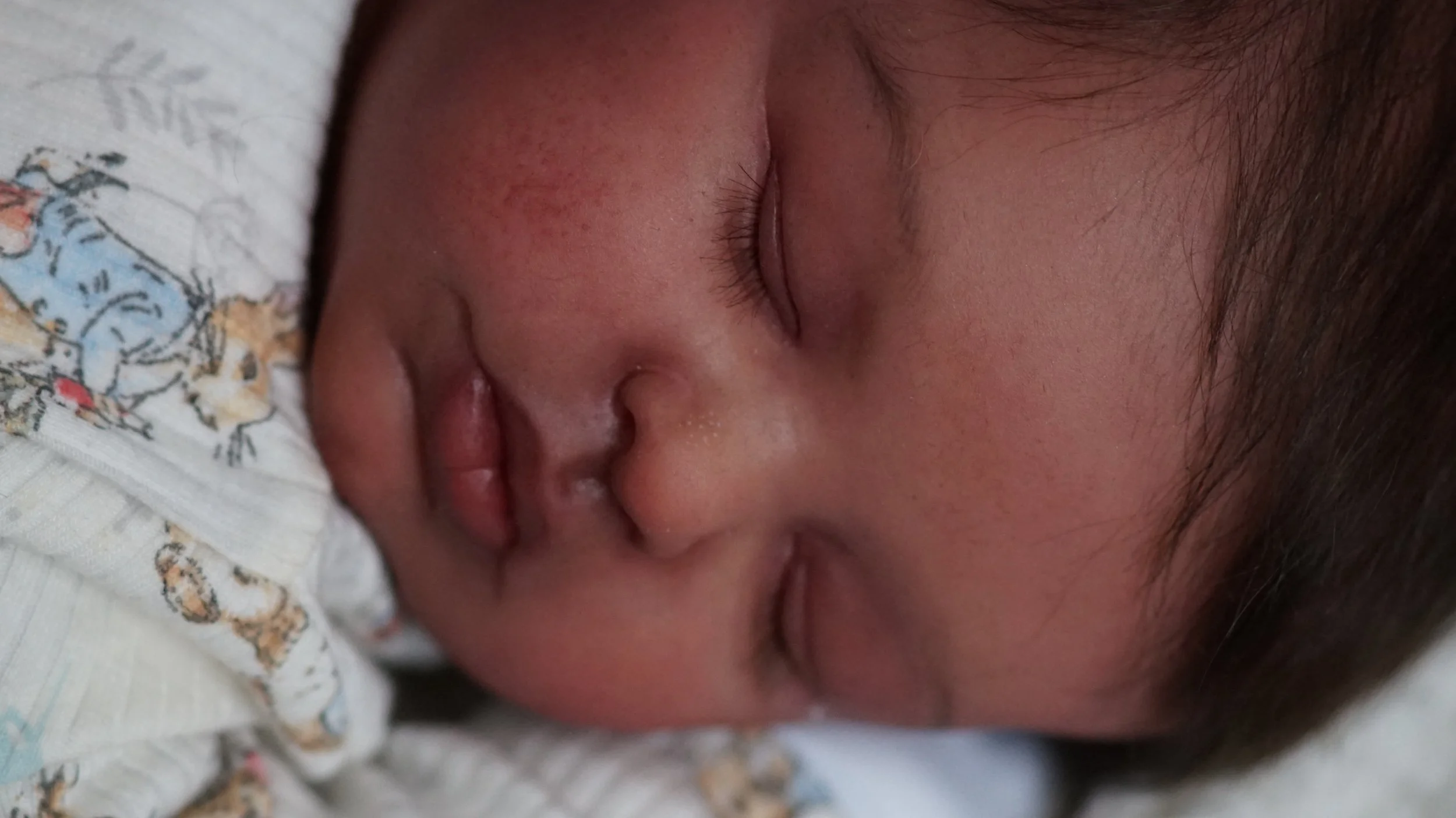 Frequently Asked Questions — Reborns Of Jess