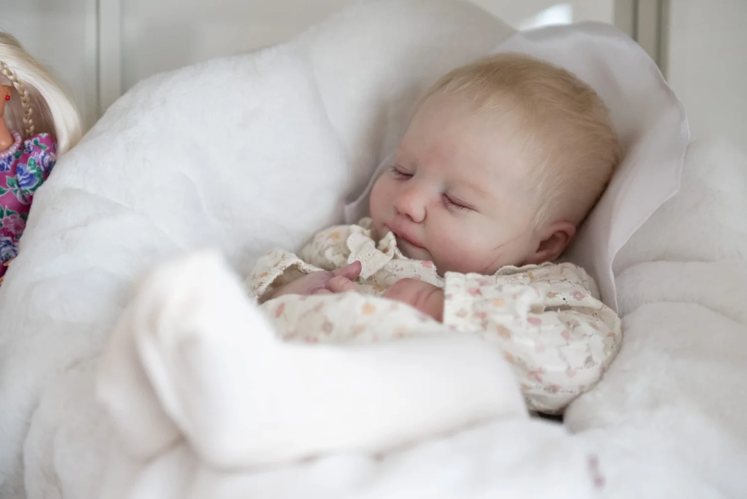Reborns Of Jess | Discover and Engage with Reborns Today