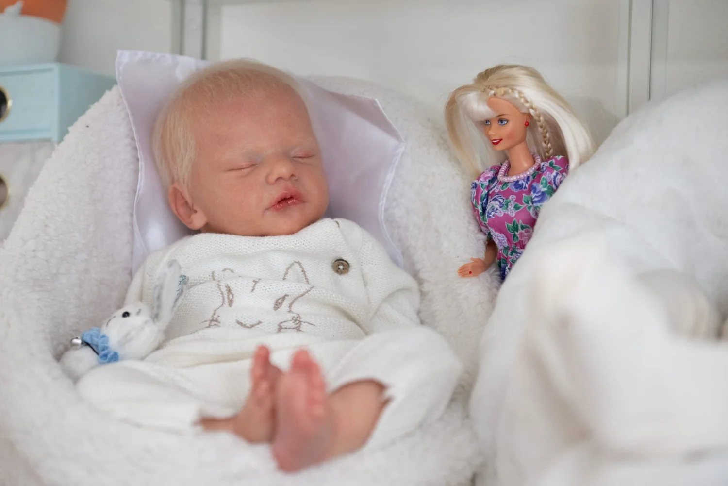 Reborns Of Jess | Discover and Engage with Reborns Today