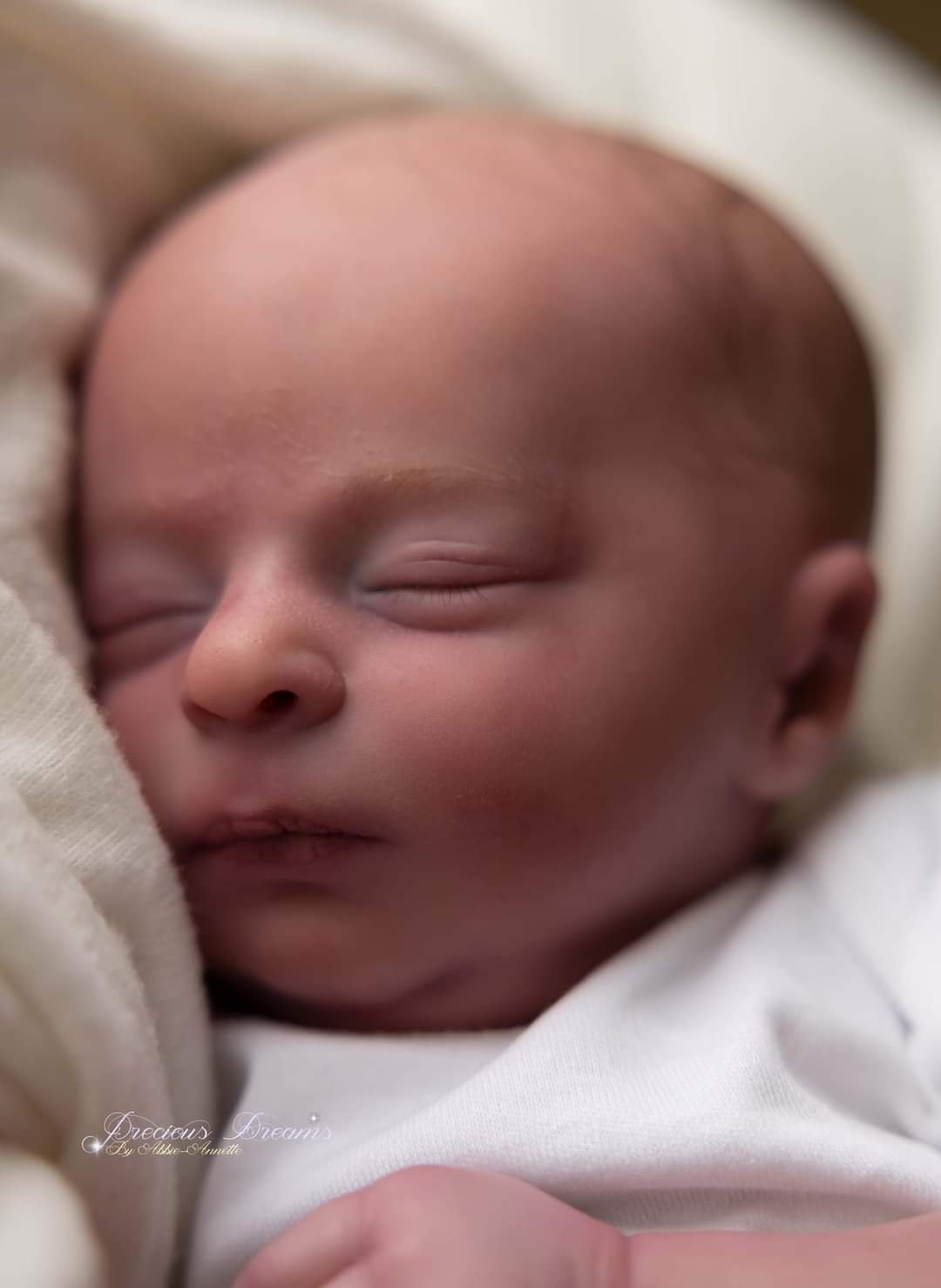 General 3 — Reborns Of Jess