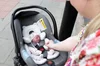 Reborns Of Jess | Discover and Engage with Reborns Today