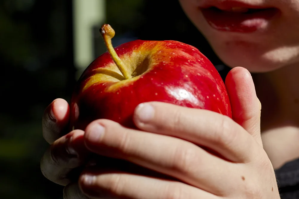 Koru Apple – A True New Zealand Legend