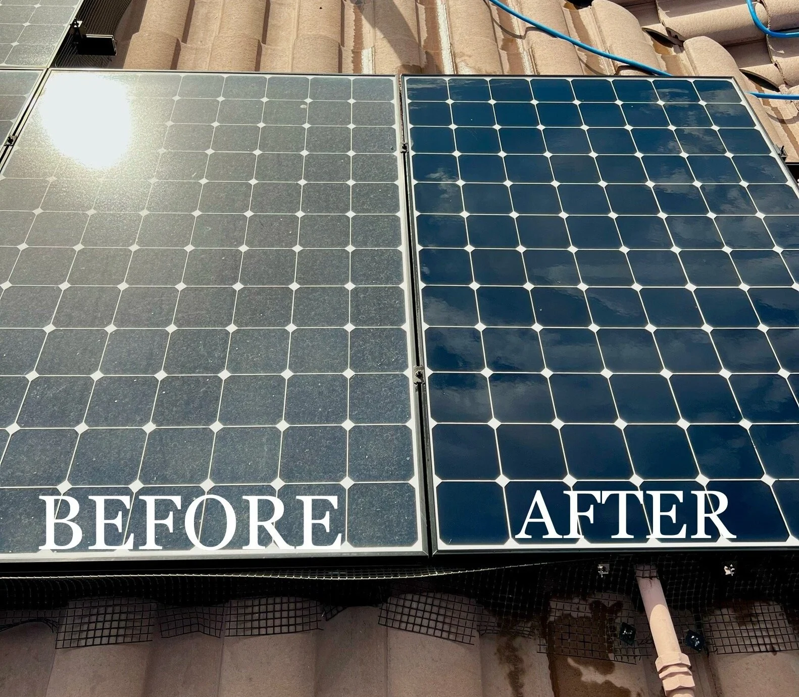 TOP TIER Solar Panel Cleaning
