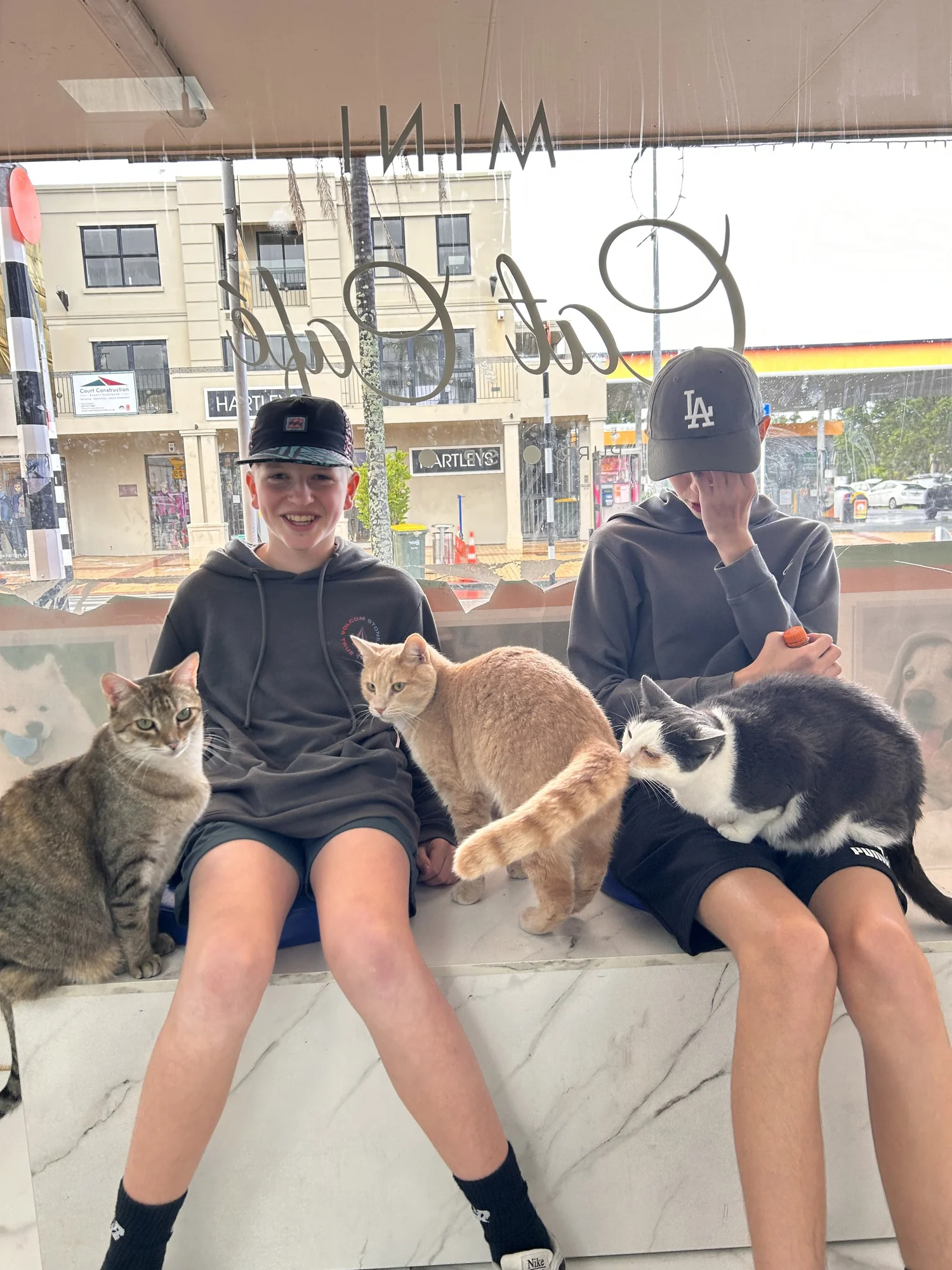 Auckland Montessori College | Panmure & Constellation