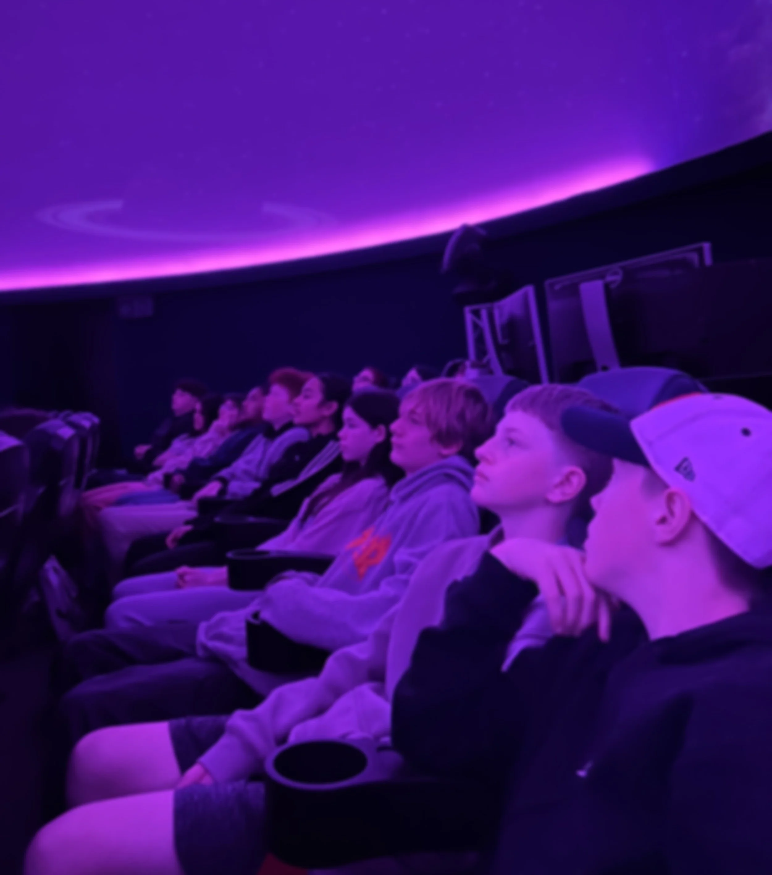 Auckland Montessori College | Panmure & Constellation