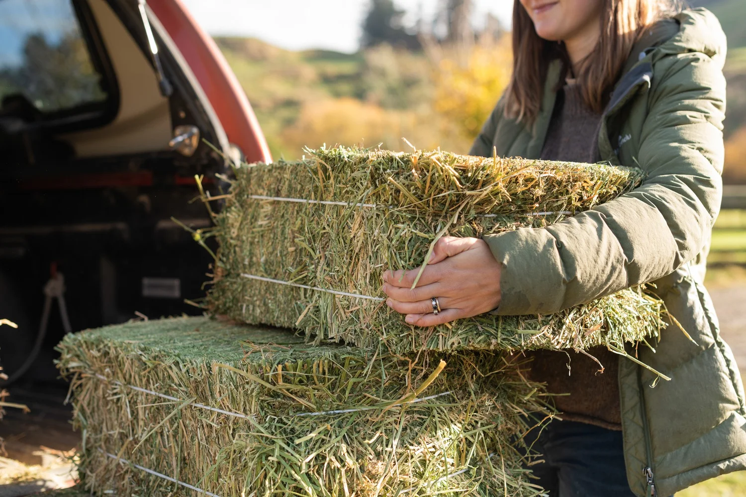 Compact Hay — Kirkpatrick Feed Supplies