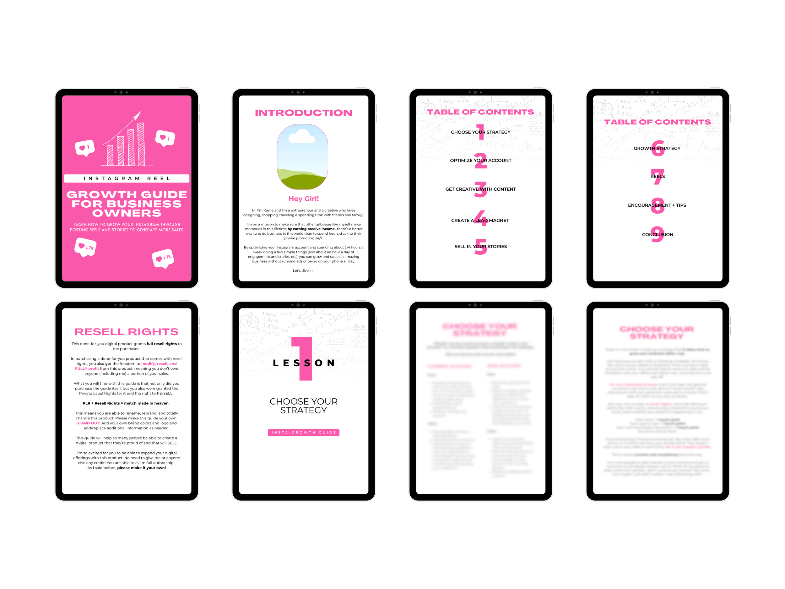 Create + Sell Digital Products Guide — Aesthetic PLR