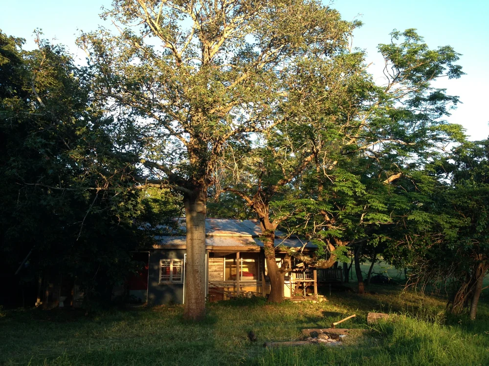 About — Monto Museum of Art