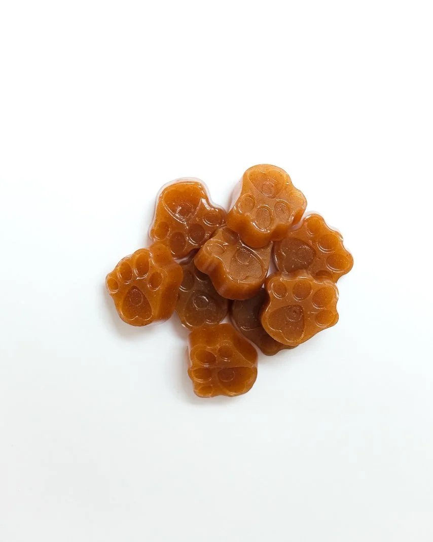 Pet Gummies — Port Lincoln Pet Treats