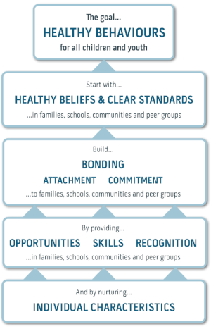 Social Development Strategy — Communities That Care