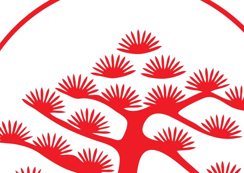 Susan Chen Foundation