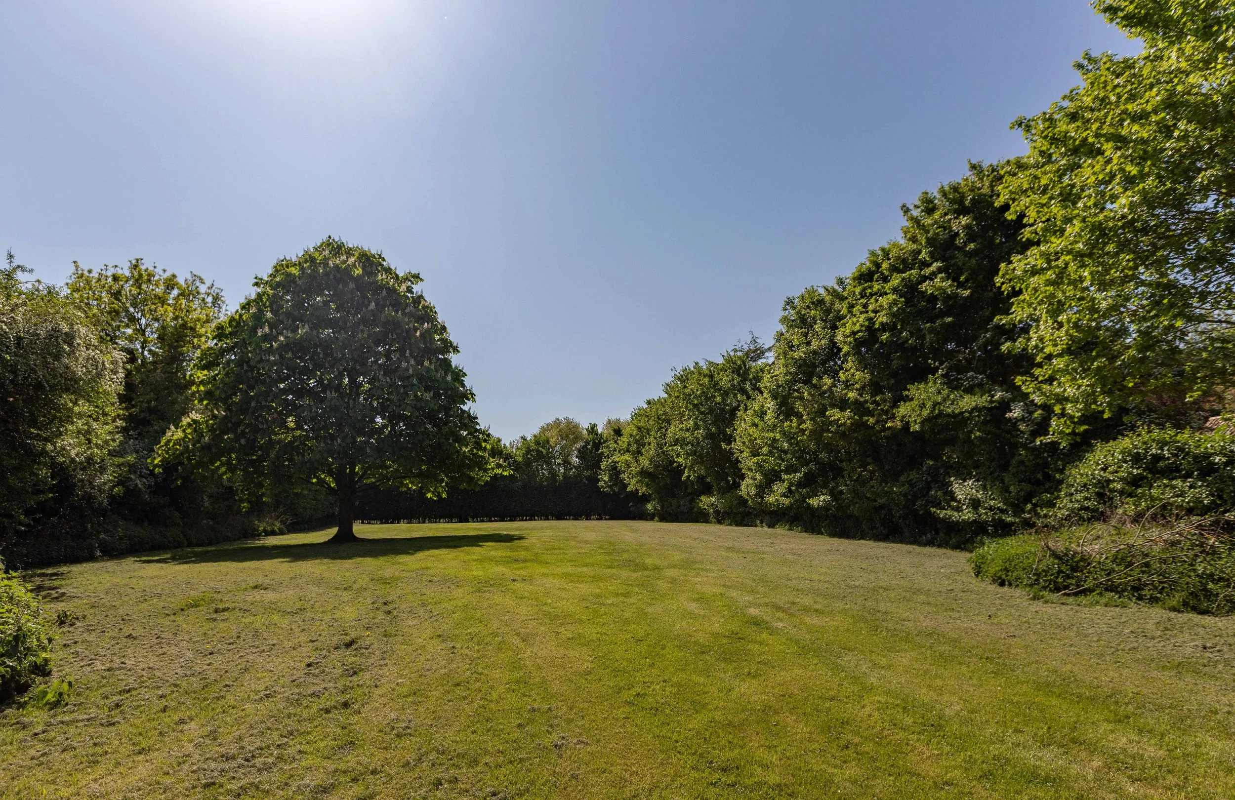 Elsworth — Farm Club