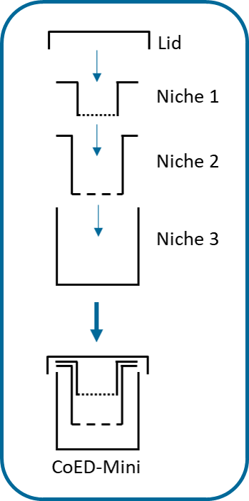 CoED Products — Growing Effective Effector Cells